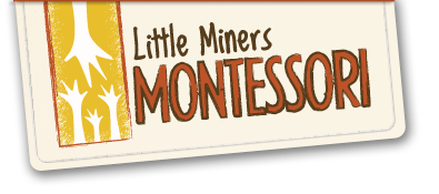 Enrollsy | Enrollment Made Easy